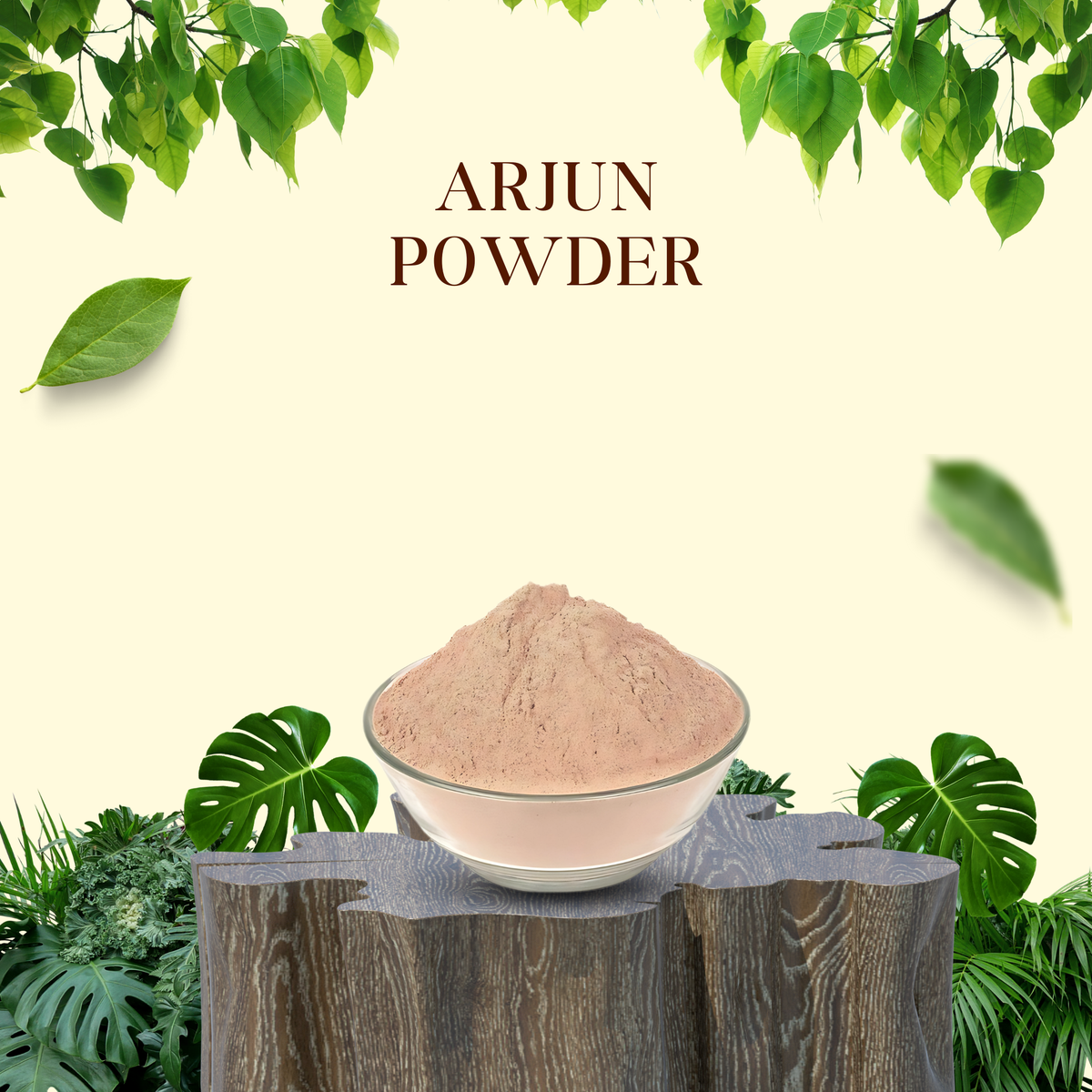 Arjun Powder | Organic Ayurvedic Heart & Wellness Powder – bhagvatprasadam