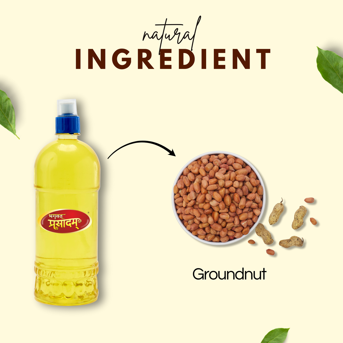 Groundnut Oil Pure | मूंगफली का तेल | Pure Cold-Pressed Groundnut Oil ...